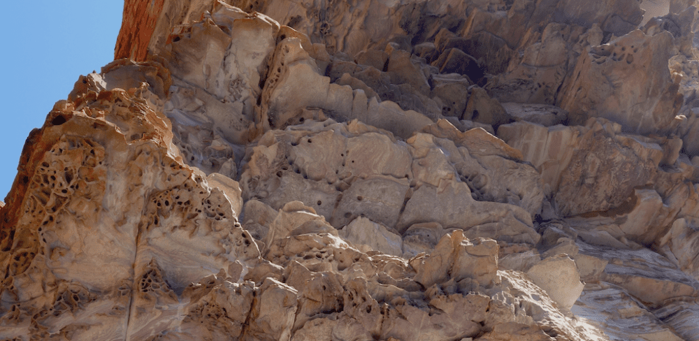 Honeycomb Weathering | Australian Coastal Society