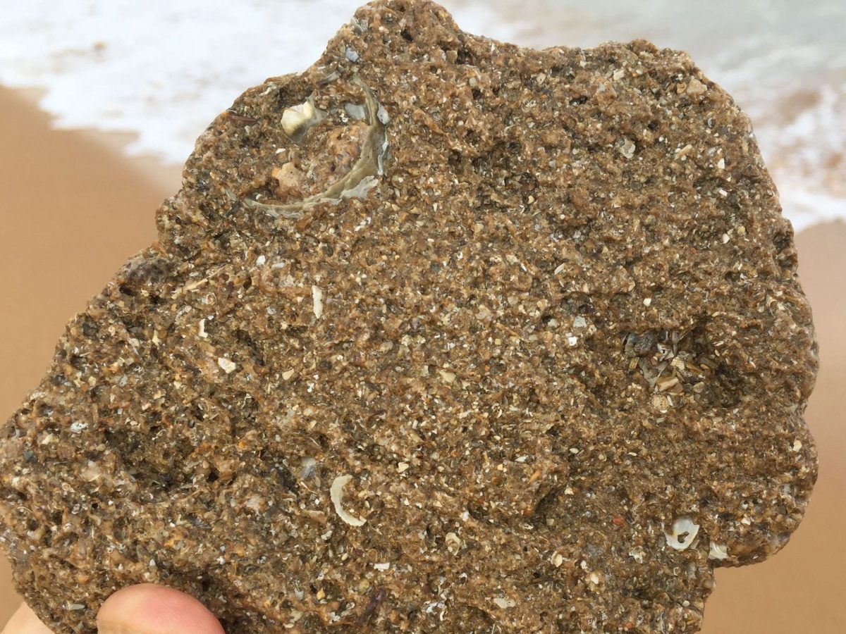 Beachrock | Australian Coastal Society