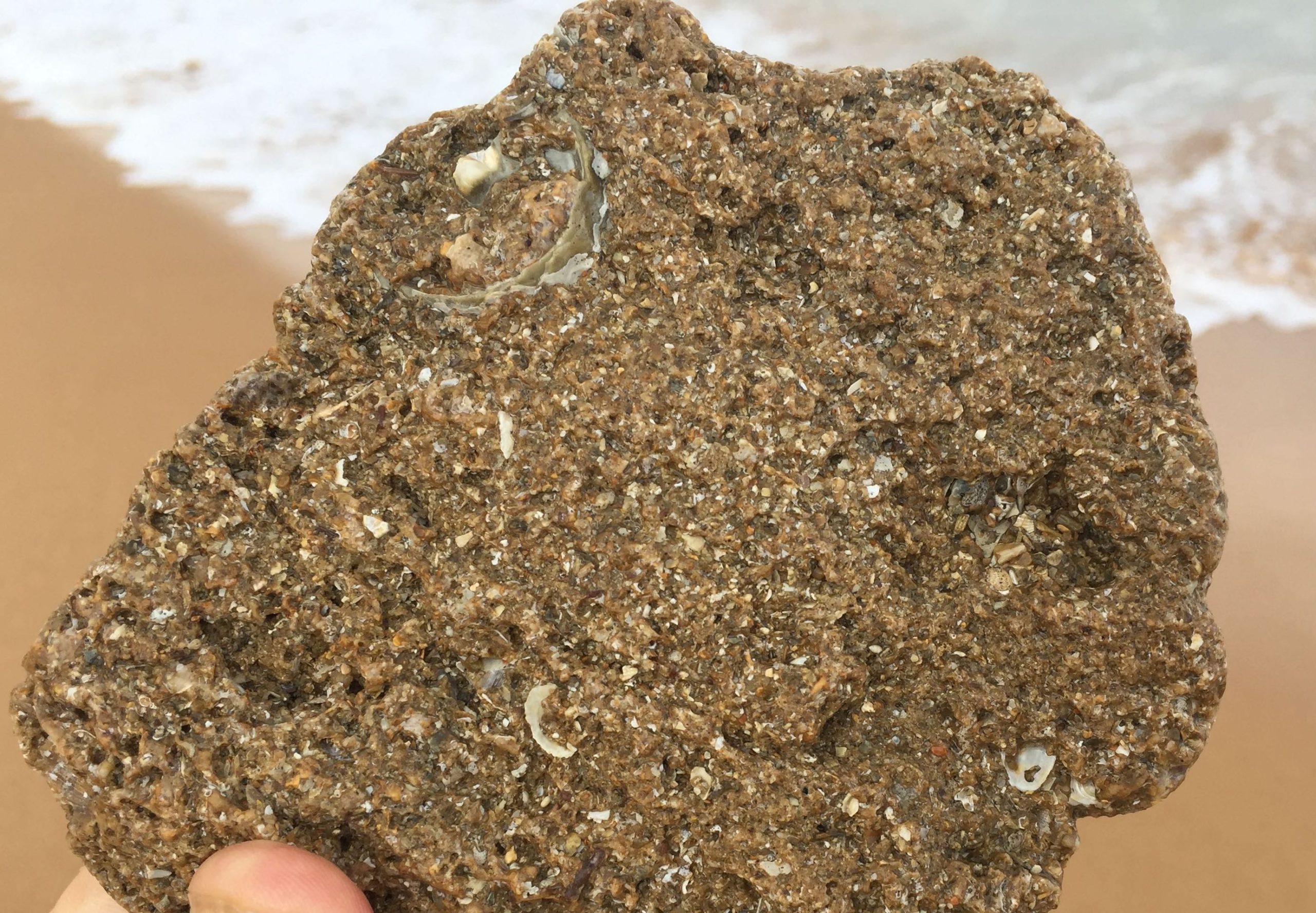 Beachrock | Australian Coastal Society